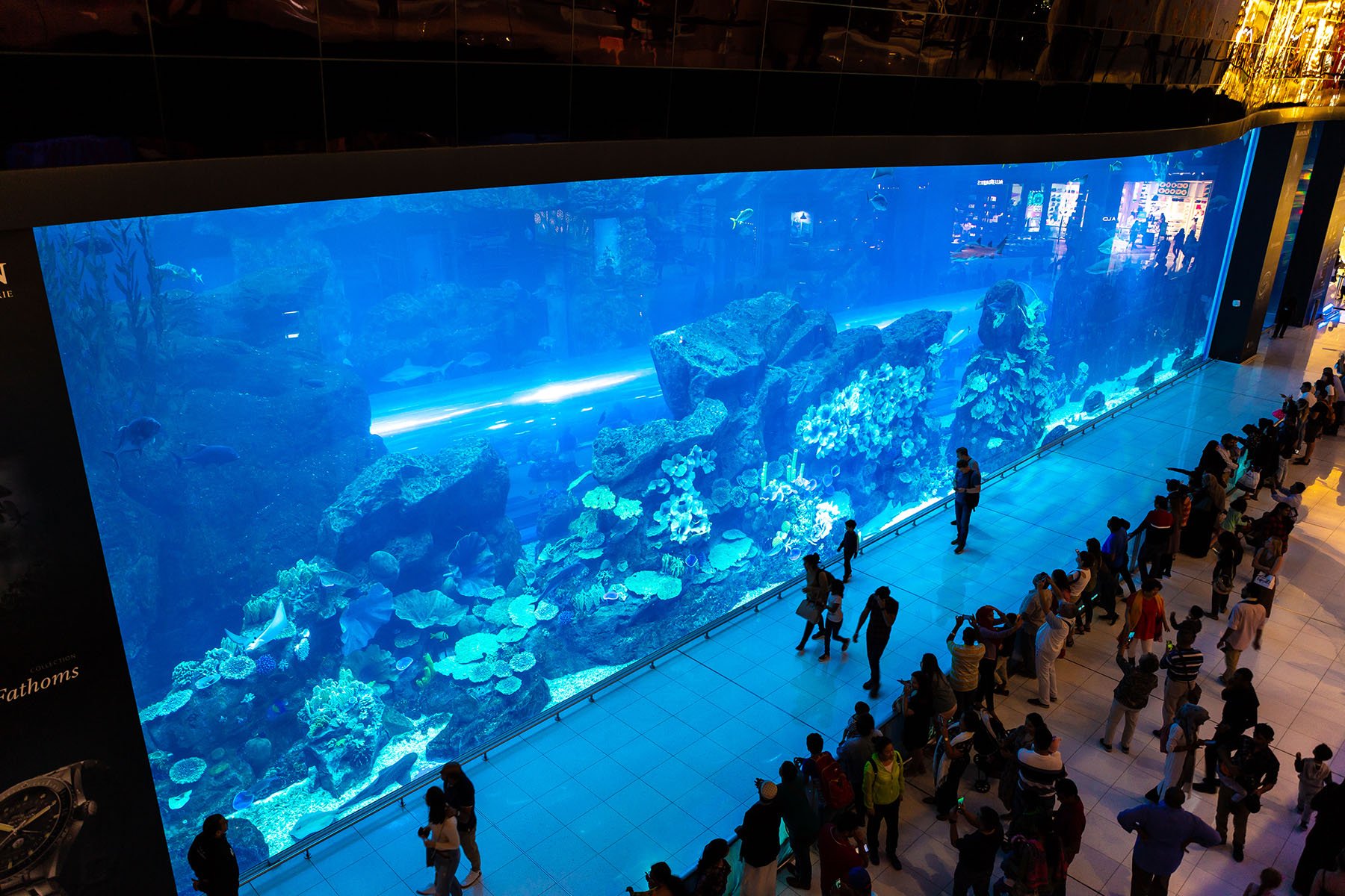 Dubai Mall Aquarium