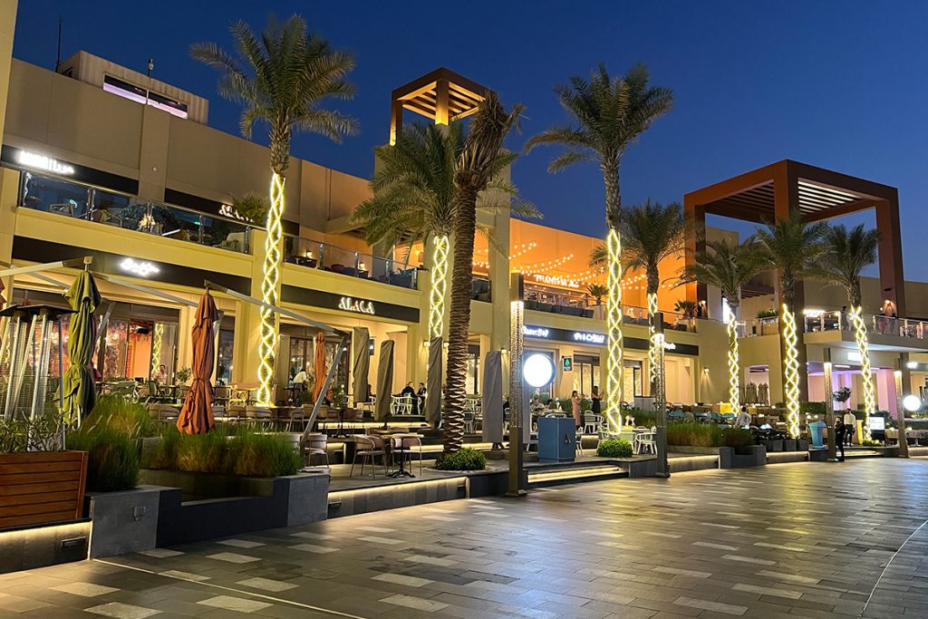 Het palmeiland Palm Jumeirah in Dubai | Alles Over Dubai